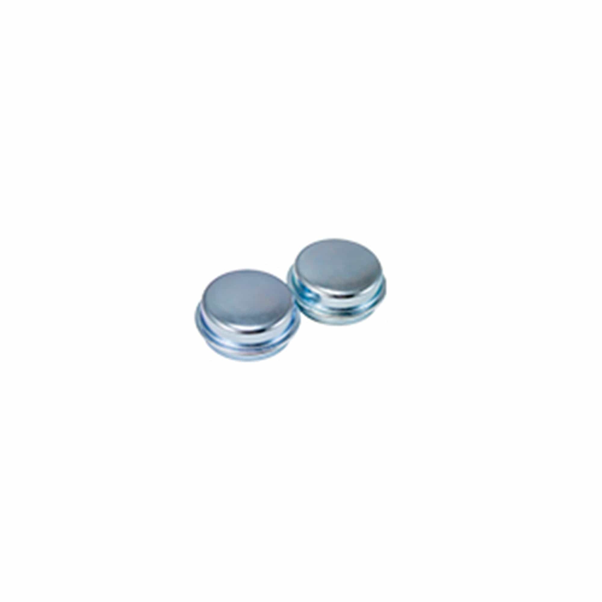 Dutton-Lainson 21870 Dust Caps Pair - 3/4 In.